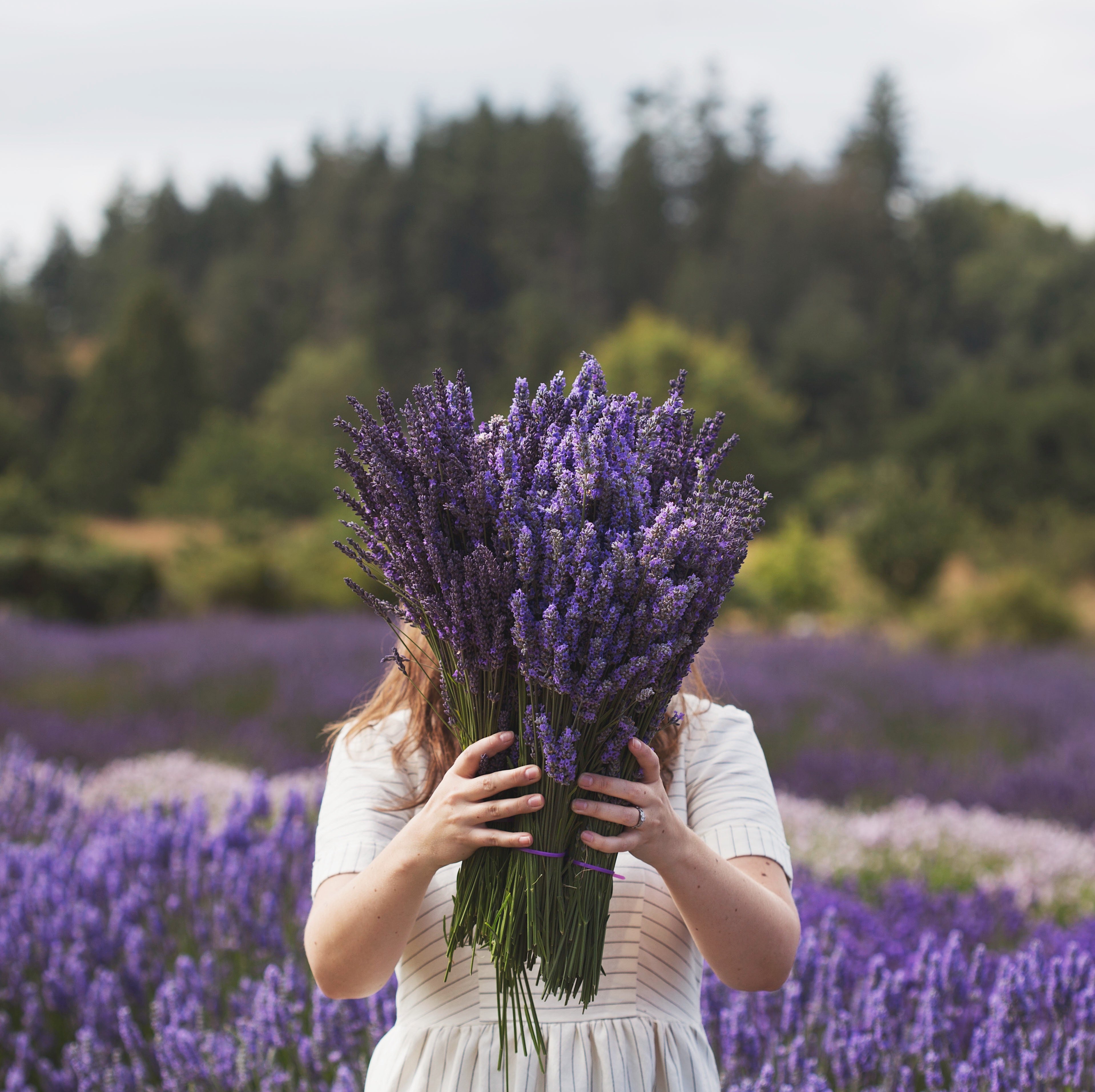 A Striped Orla for An Orla Affair – La Mercerie